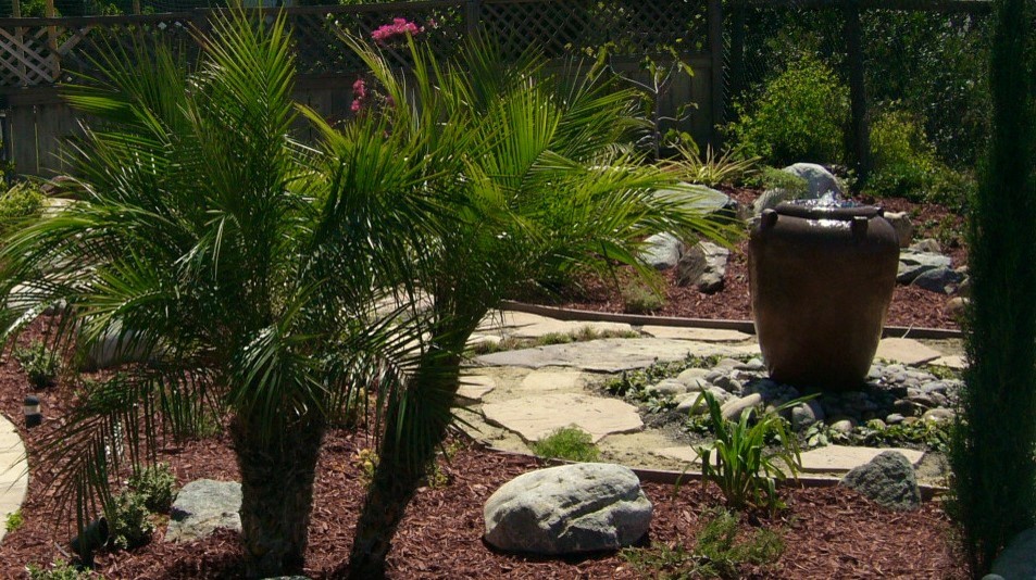 Backyard redesign with recirculating water feature urn. - Mediterranean ...