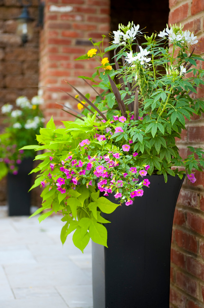 Backyard Resort - Landscape - St Louis - by Landscape St. Louis, Inc ...