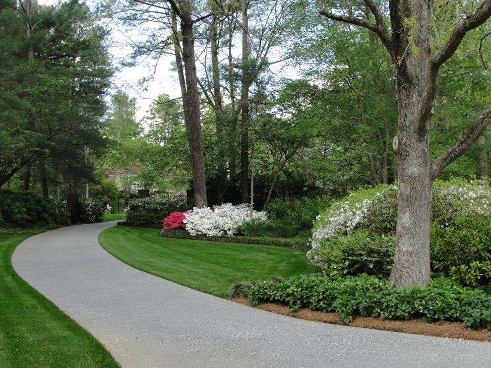 Backyard Transformation - Traditional - Landscape - Atlanta - by Ozio ...
