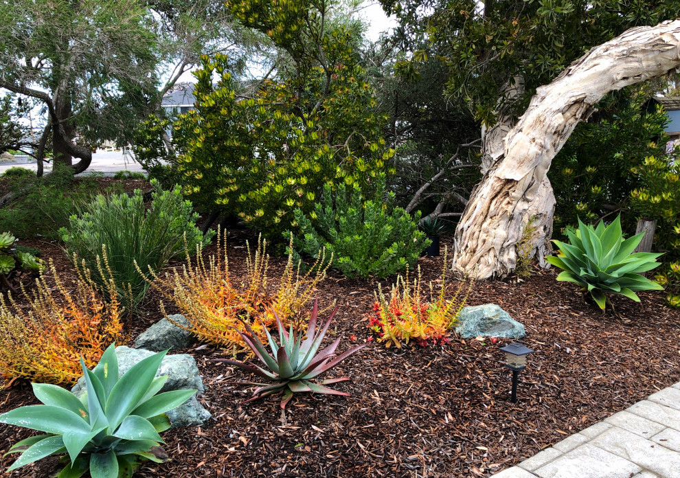 Barrager Front Yard - Contemporary - Landscape - by Taylor's Landscape ...