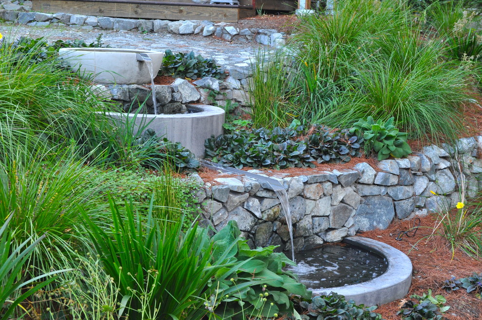 Barretta - Contemporary - Landscape - San Francisco - by Huettl ...