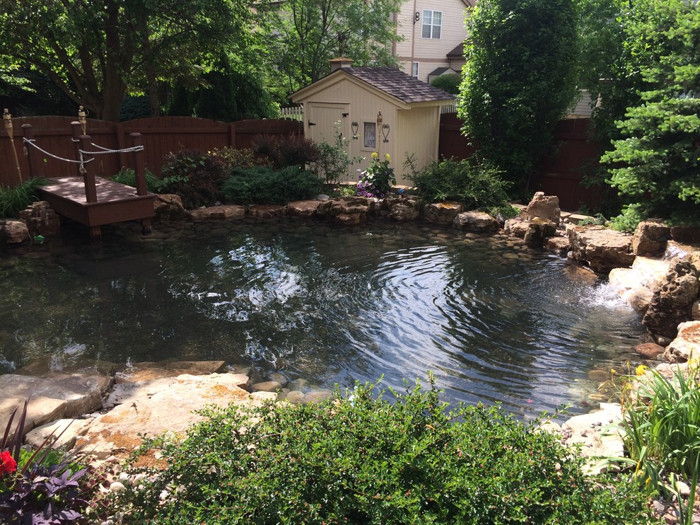 Bartlett pond to swimming pond - Landscape - Chicago - by Gem Ponds Inc. | Houzz