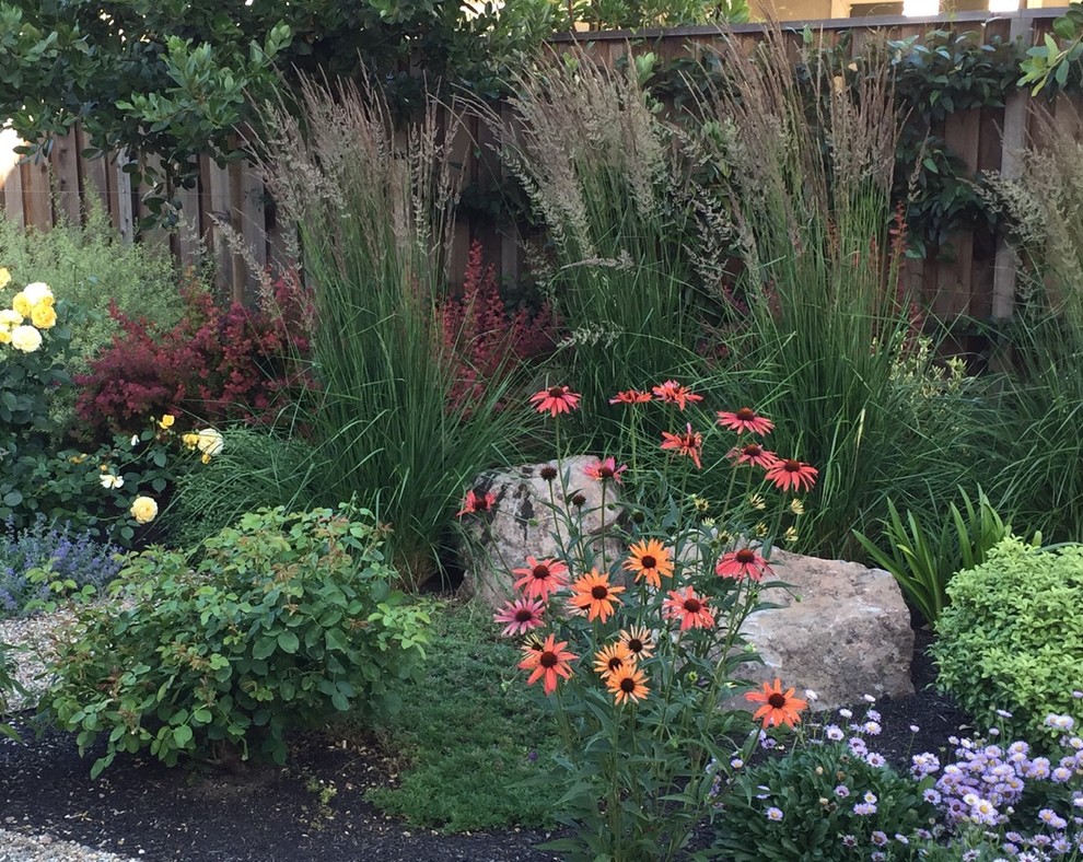 Bautista Residence - Eclectic - Landscape - San Francisco - by Verdance ...