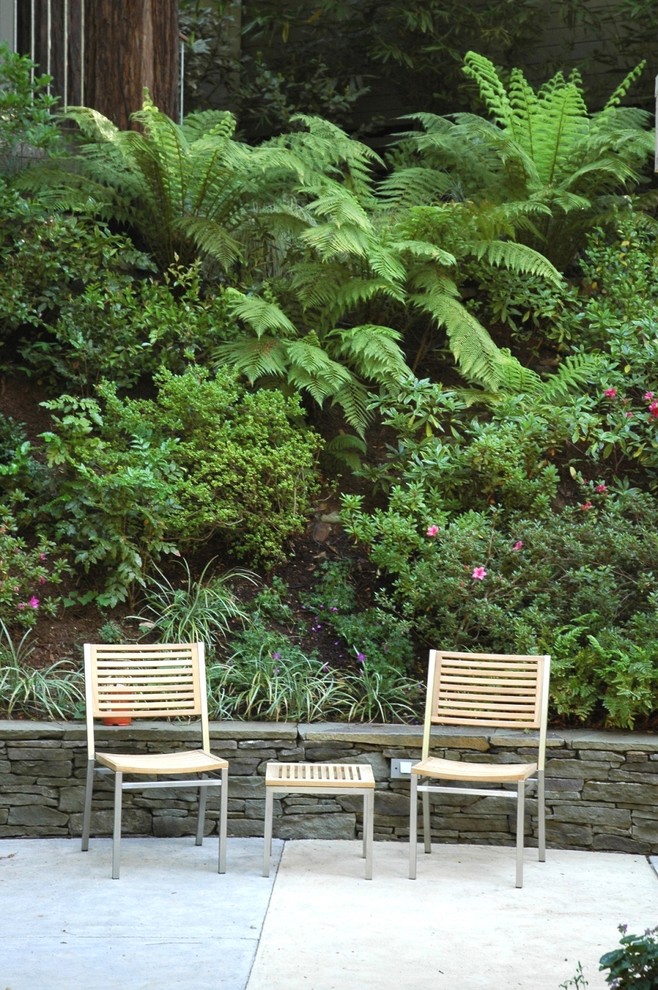 Bay Area Plants - Modern - Landscape - San Francisco - by Studio Green ...