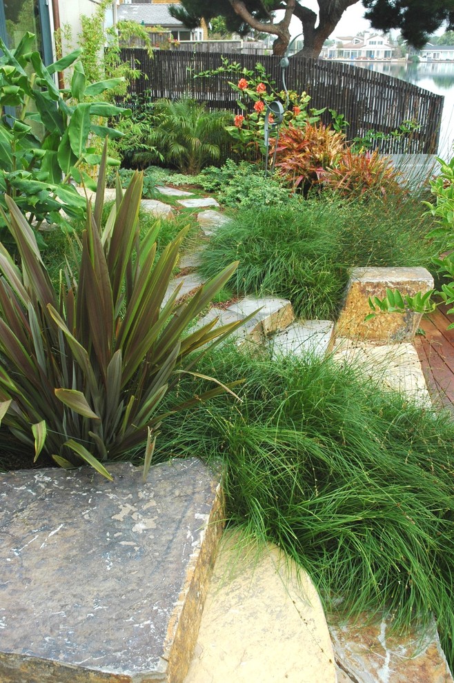 Bay Area Plants - Modern - Landscape - San Francisco - by Studio Green ...