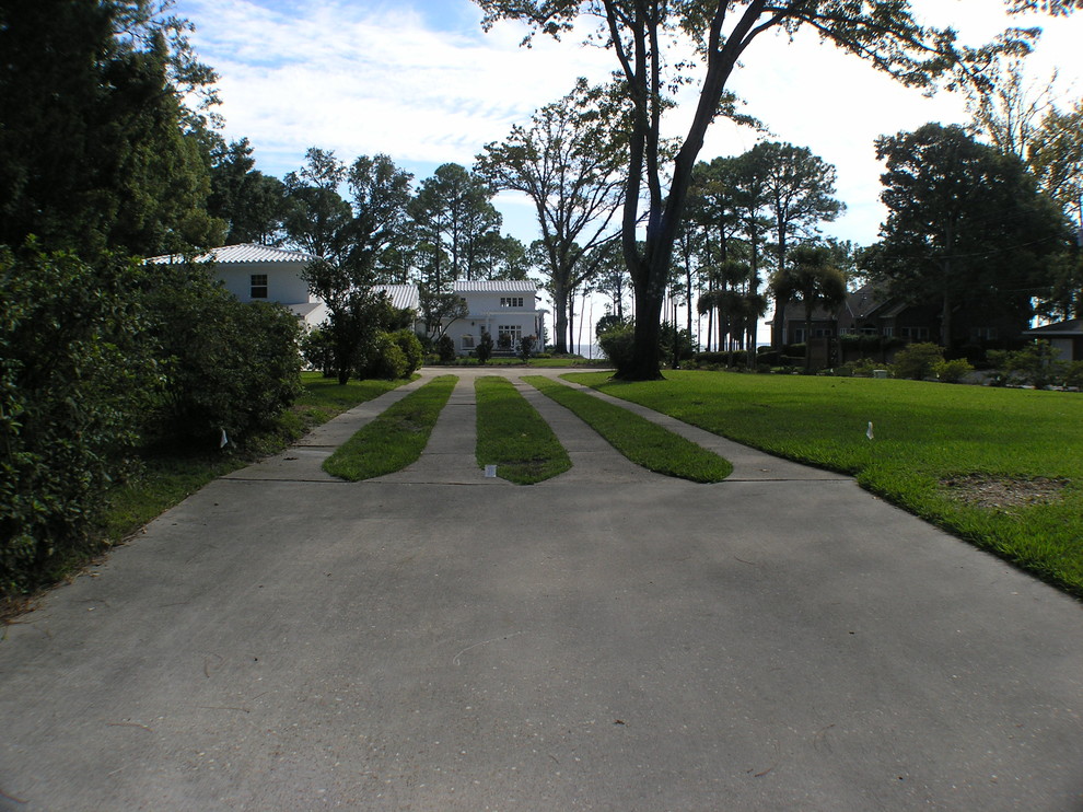 Beach Drive Beauty - Traditional - Landscape - Jacksonville - by Alan D ...