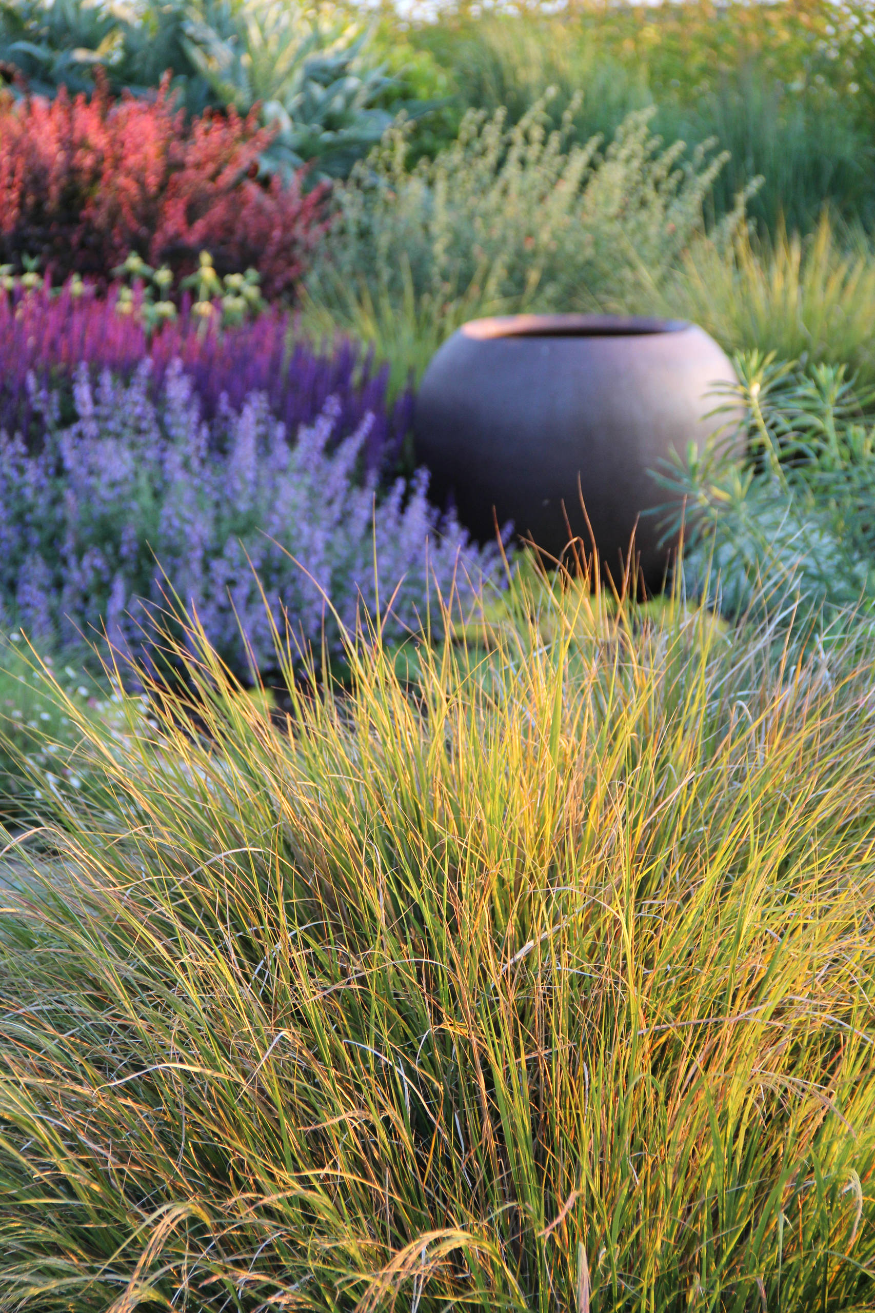 Border Grasses For Landscaping