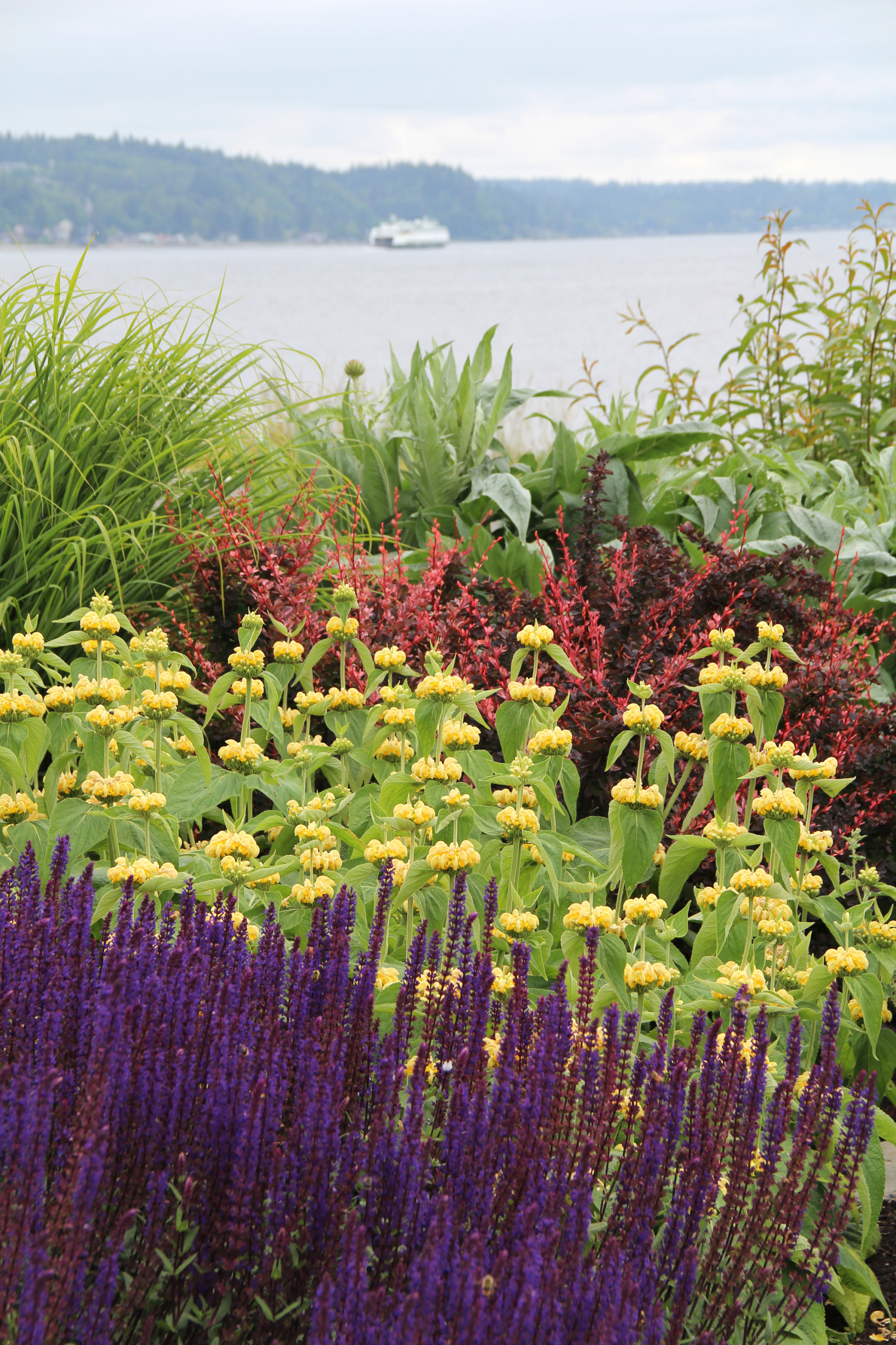 3 Colour Palettes to Set Your Garden's Mood | Houzz NZ