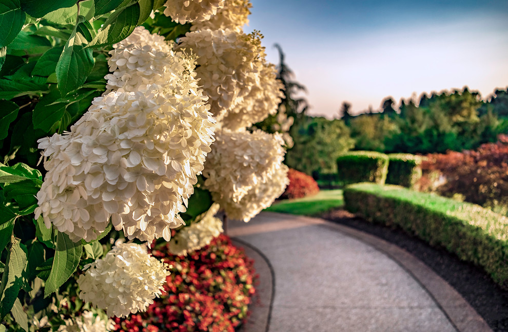 Beautiful landscape in Fox Chapel - Contemporary - Landscape - Other ...