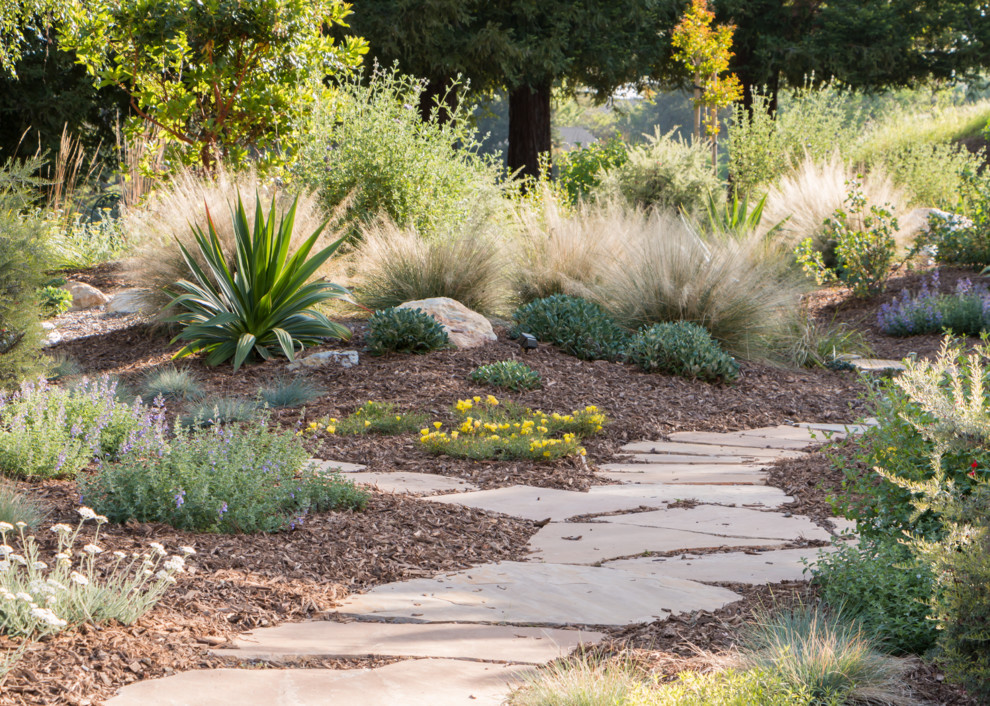 Beautiful "New Normal" California Landscape - Mediterranean - Landscape ...