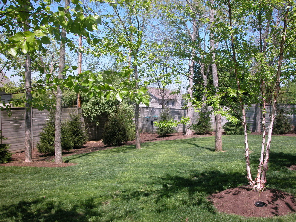 Before of backyard garden with existing trees - Traditional - Landscape ...