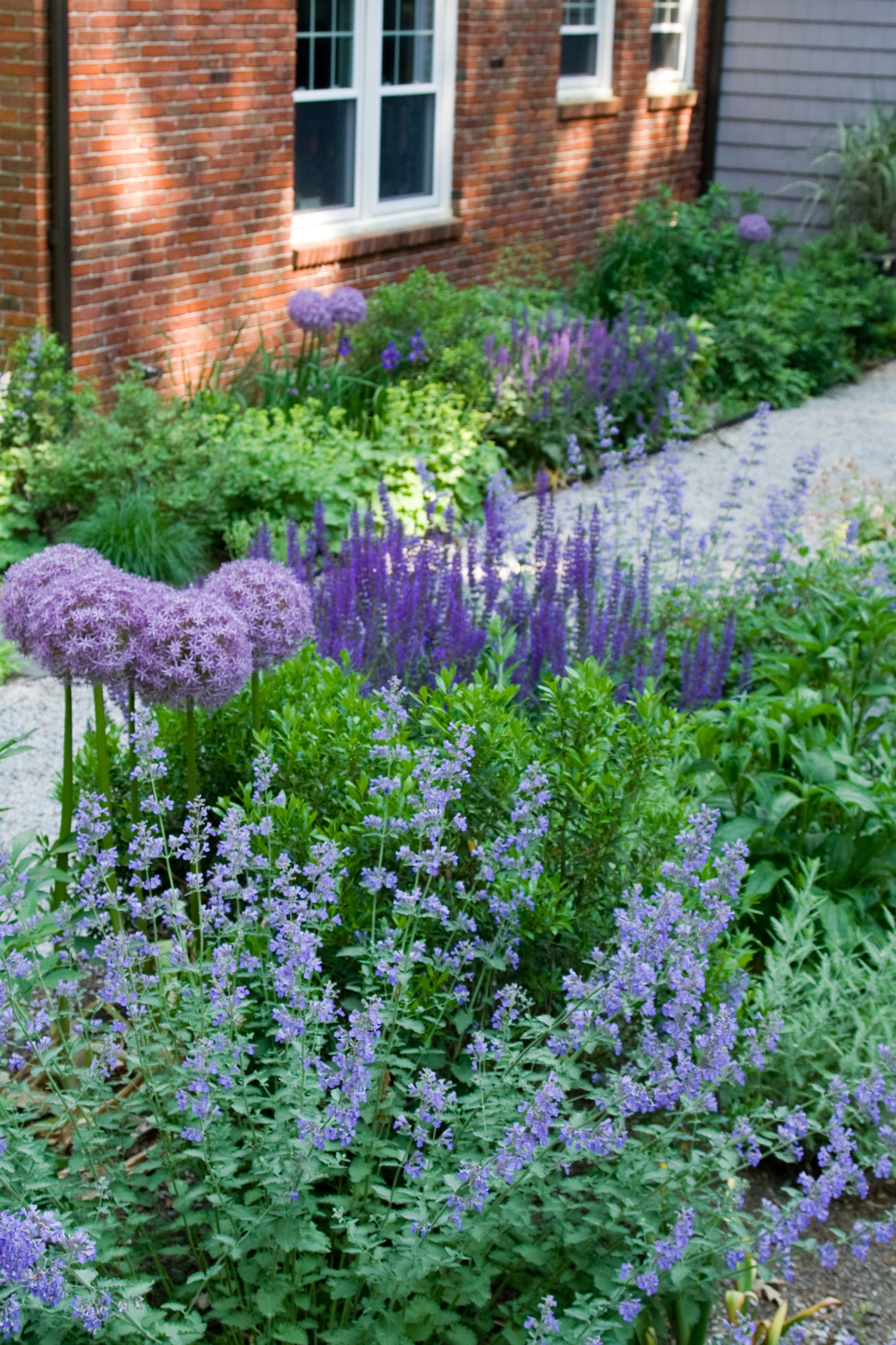 Colourful Garden Border Ideas | Fasci Garden