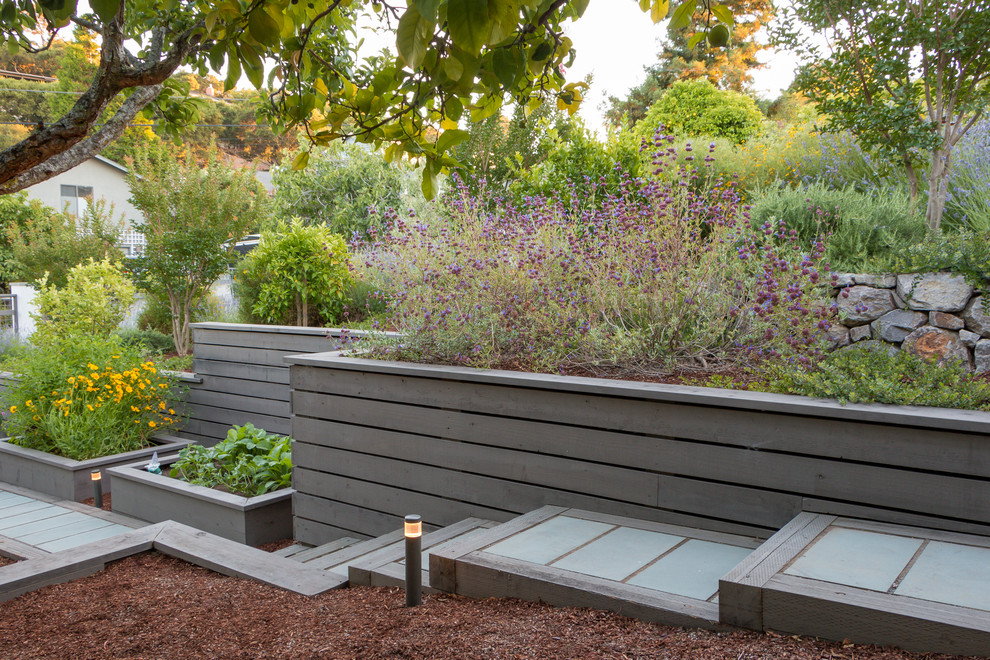 Belmont Modern Rustic - Modern - Landscape - San Francisco - by Kristen ...