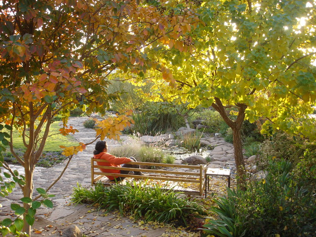 10 Fun Features to Bring Your Landscape to Life