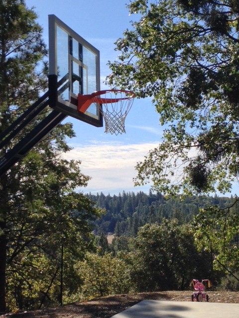 Benjamin W's Pro Dunk Gold Basketball System on a 46x30 in Pine Grove ...