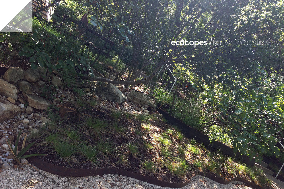 beverly_hills_austin (1,13) - Contemporain - Jardin - Austin - par ...