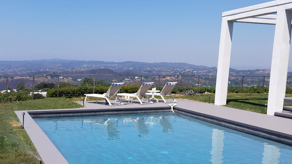 Beverly Hills - Pool Remodel - Modern - Pool - Los Angeles - by LUSH ...