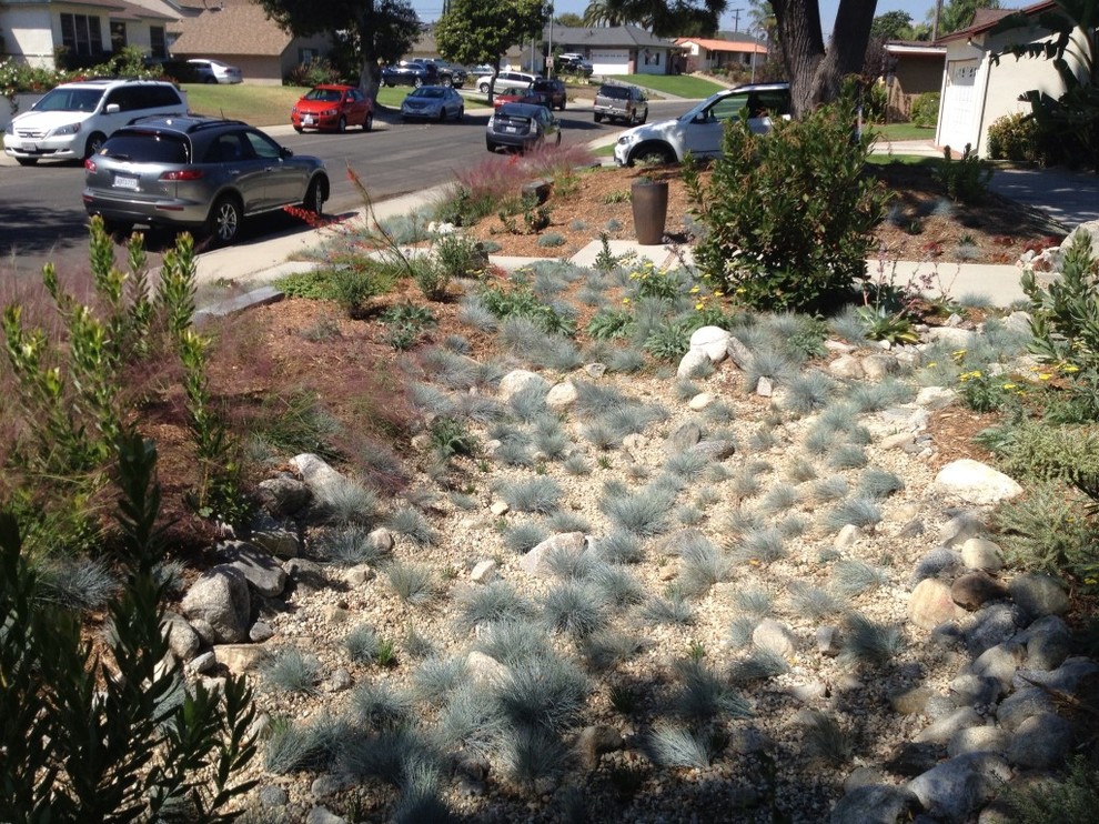 Bioswales - Contemporary - Landscape - Los Angeles - by Stout Design ...