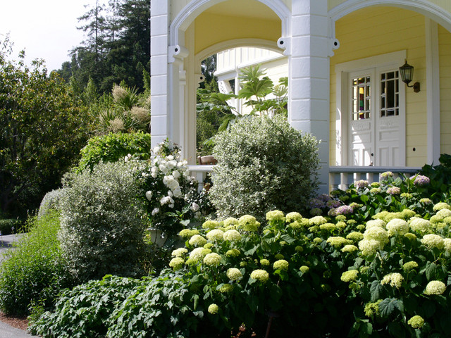 Have a Ball With Hydrangeas
