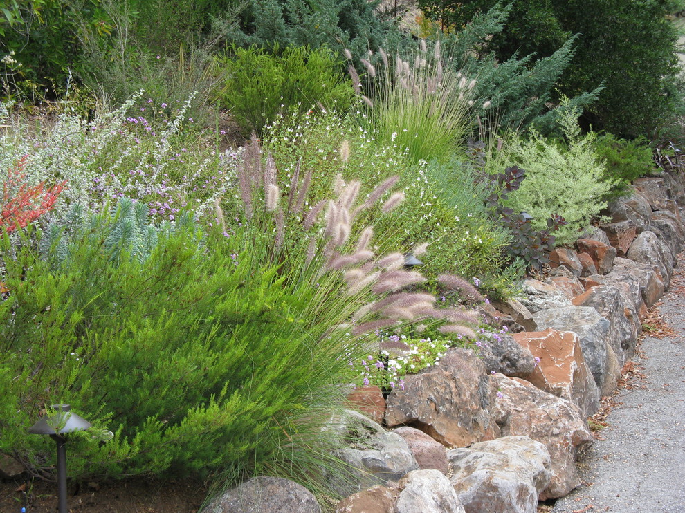 Border Planting - Mediterranean - Landscape - San Francisco - by SW ...