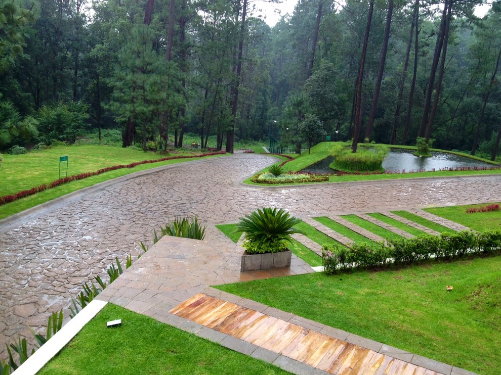 Bosque verde Mexico - Contemporary - Landscape - Mexico City - by ...