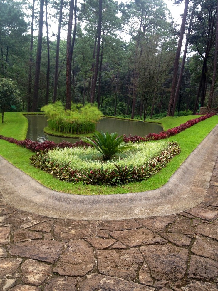 Bosque verde Mexico - Contemporary - Landscape - Mexico City - by ...