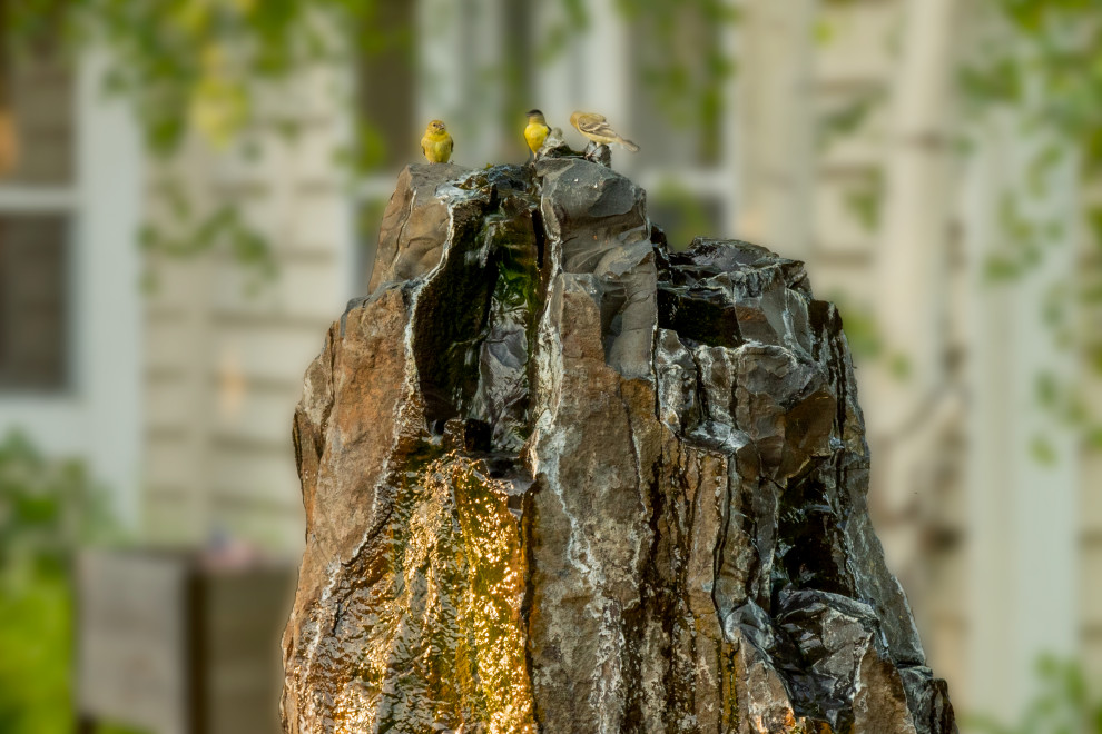 Custom Basalt Water Feature in the Botanical Garden Delight - Rustic ...