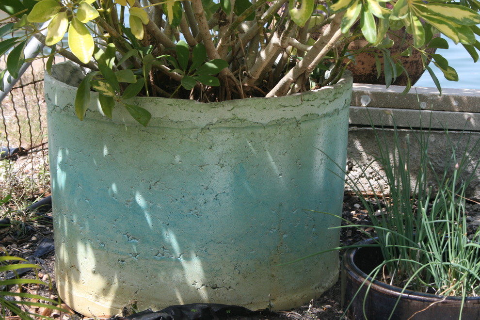 Bottomless concrete planters. - Exotique - Jardin - Tampa - par ...