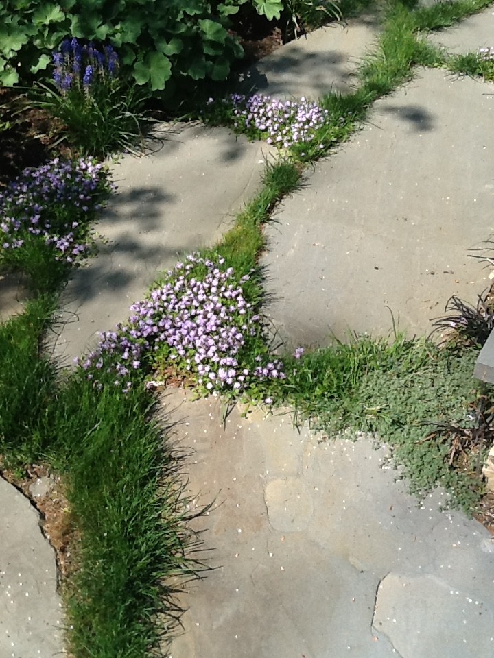 Boulder Ideas & Broken Blue Stone Path - Contemporary - Landscape - New ...