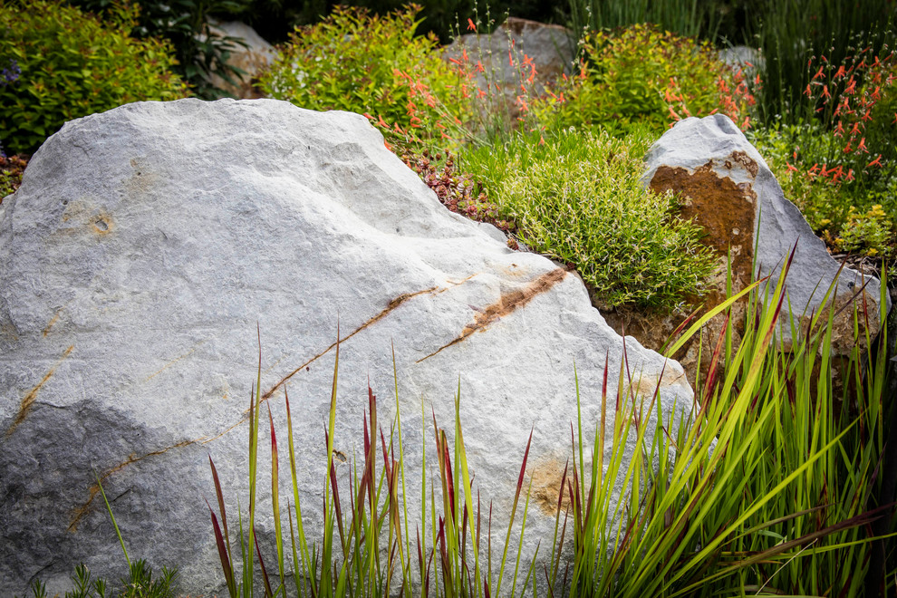 Boulders with Color - Rustic - Garden - Orange County - by C&H ...