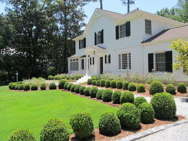 Boxwoods and Roses - Traditional - Garden - Atlanta - by Botanica ...