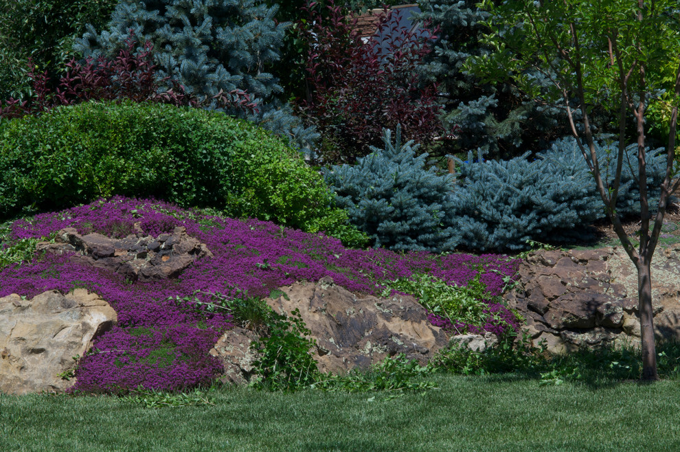 Breath of the Vale - Traditional - Landscape - Denver - by MARPA DESIGN ...