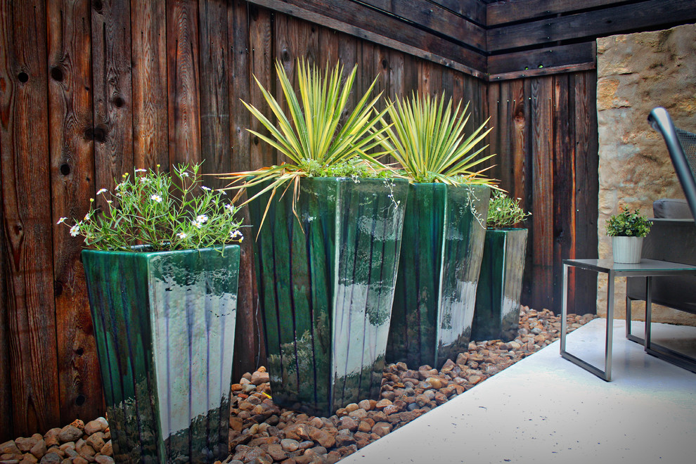 Brentwood Contemporary Condo Courtyard - Contemporary - Landscape ...