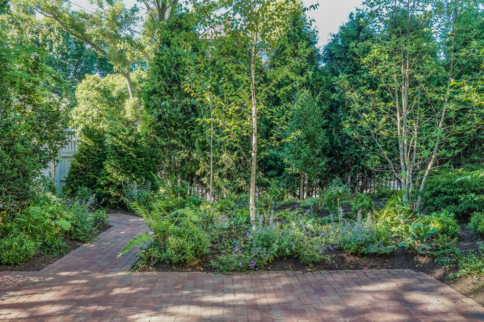 Brick Courtyard with Birch and Ground Cover - Traditional - Landscape ...