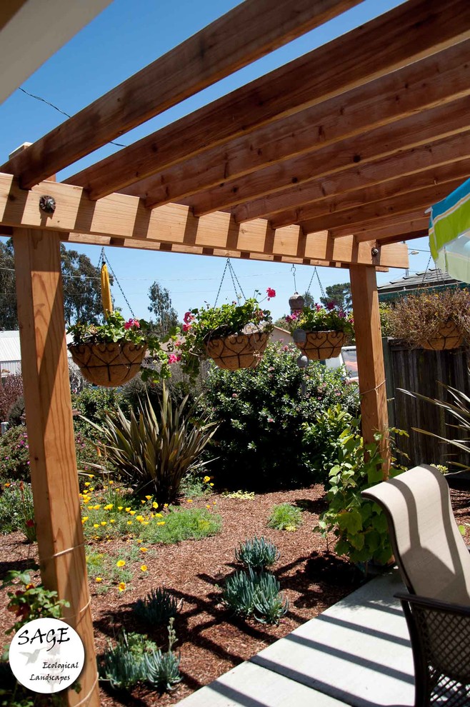 Bright Beach Town Back Yard - Traditional - Landscape - San Luis Obispo ...