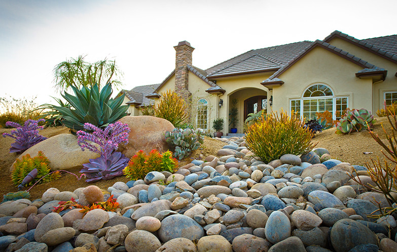 Bright Colors In Your Landscape Design - Contemporary - Landscape - San ...