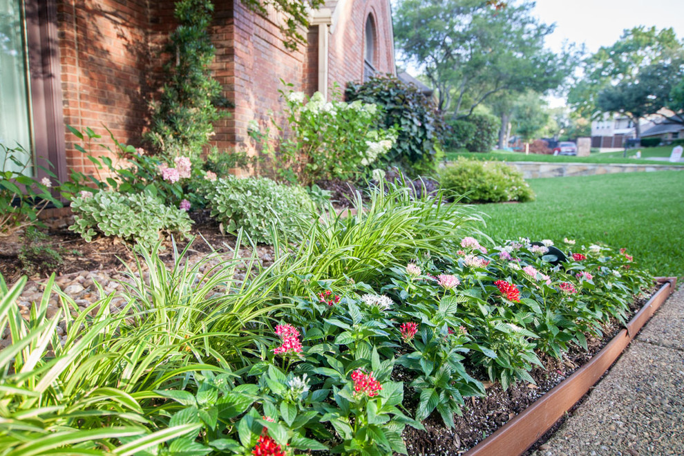 Bright Twist on Traditional - Traditional - Garden - Dallas - by Blue ...