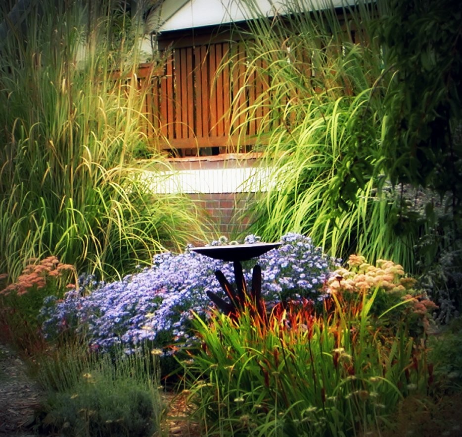 Brilliant Color Gardens - Classique - Jardin - Denver - par Ivy Street ...