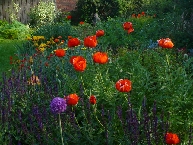Brilliant Color Gardens - Traditional - Garden - Denver - by Ivy Street ...