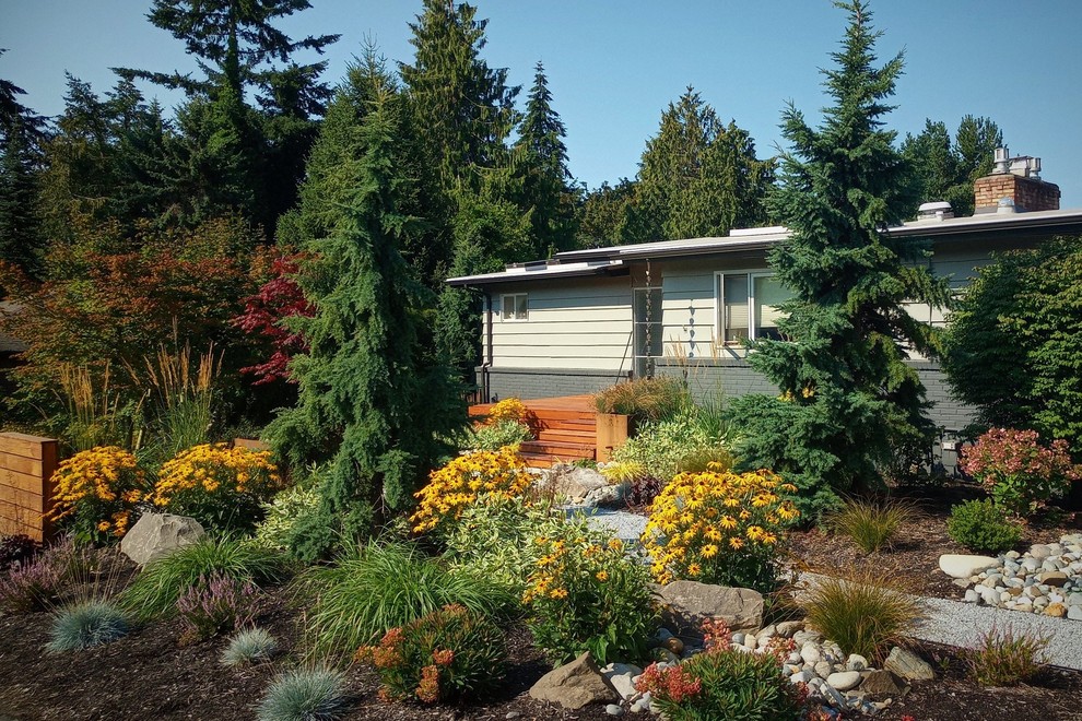 Broadview Mid-Century - Midcentury - Landscape - Seattle - by Olander ...