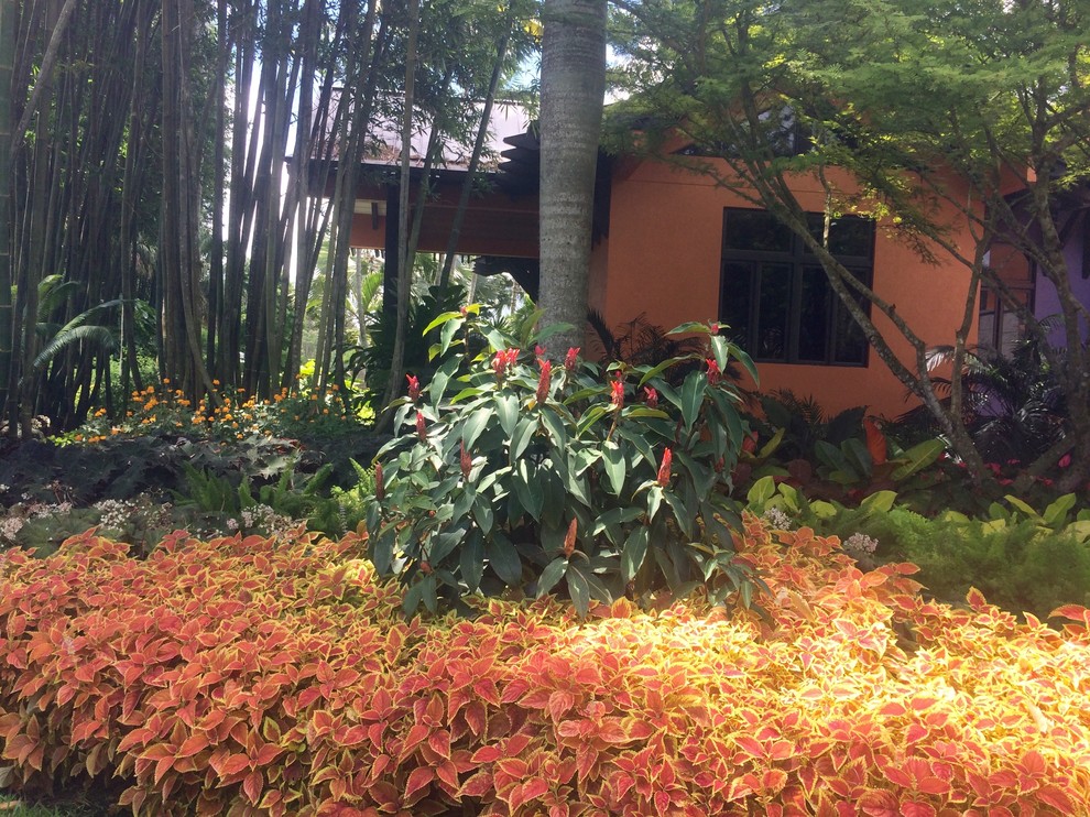 Brooks - Tropical - Landscape - Miami - by D.D.M. Horticulture Services ...