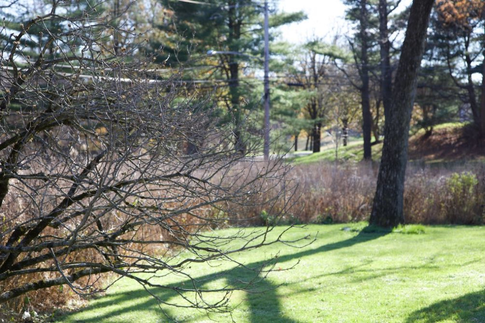 Bryn Mawr, PA - Native Meadow Design/Install - Farmhouse - Landscape ...