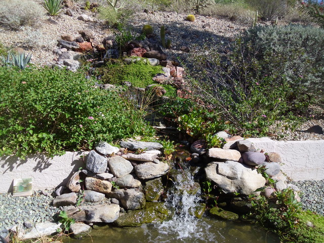 Buxton Residence Backyard Ecosystem Pond & Stream in Glendale, AZ - Sud ... Buxton Residence Backyard Ecosystem Pond & Stream in Glendale, AZ - Sud ...