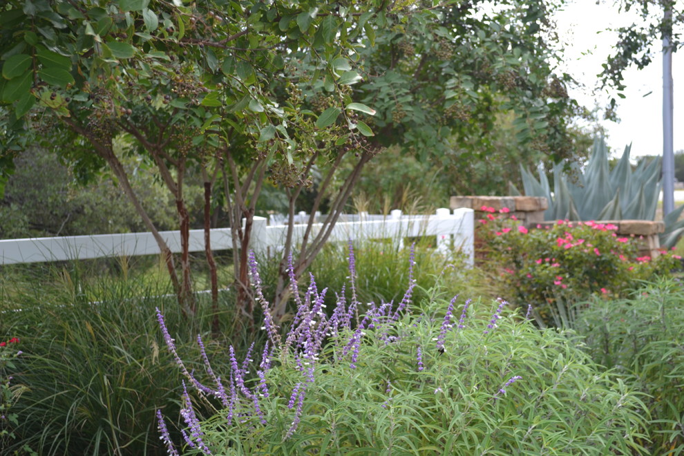 Caballo Ranch - Traditional - Landscape - Austin - by Planta Studio ...