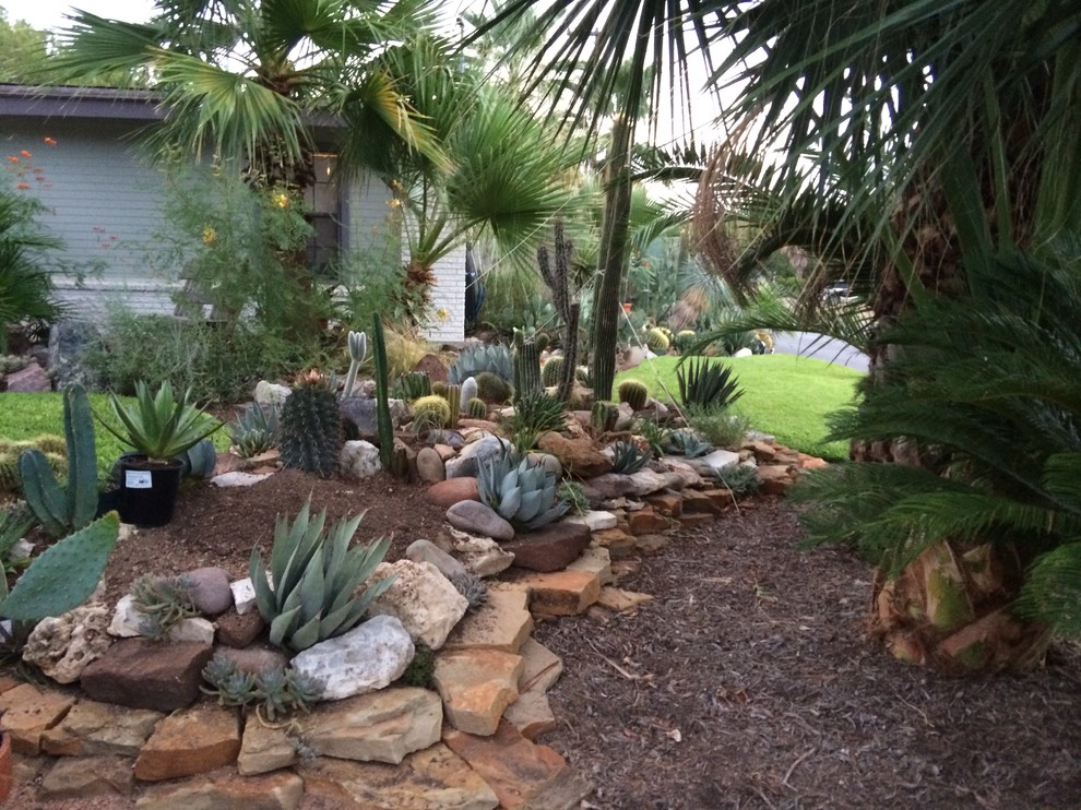cactus & Succulent Gardens - Contemporary - Landscape - Austin - by ...