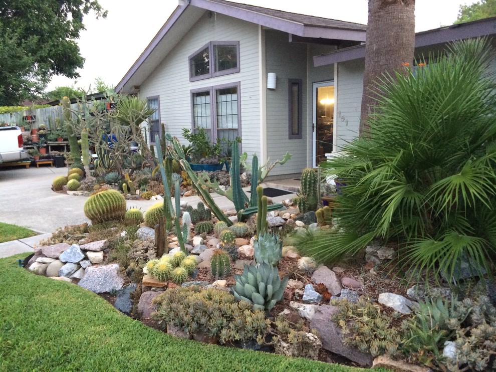 cactus & Succulent Gardens - Southwestern - Landscape - Austin - by ...