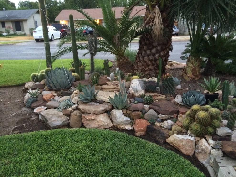 cactus & Succulent Gardens - Contemporary - Landscape - Austin - by ...