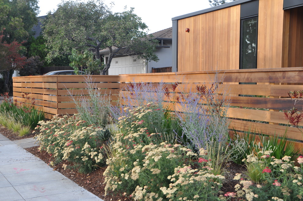 California Contemporary - Contemporary - Landscape - San Francisco - by ...