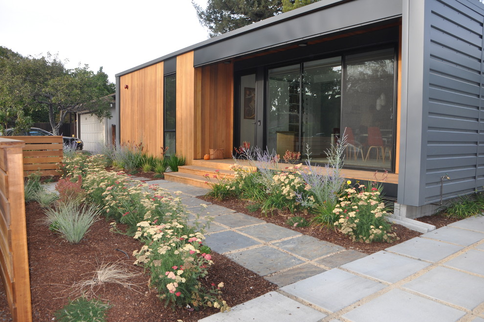 California Contemporary - Contemporary - Landscape - San Francisco - by ...