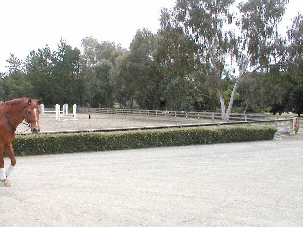 California Farm - Outdoor Arena - Traditional - Landscape - San ...